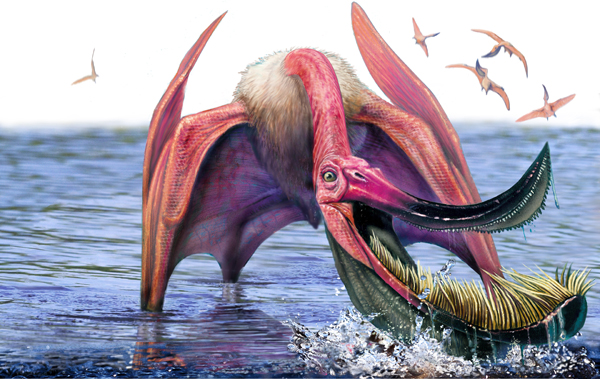 A Gallery of Pterosaurs | Luis V. Rey Blog