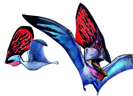 A Gallery of Pterosaurs | Luis V. Rey Blog