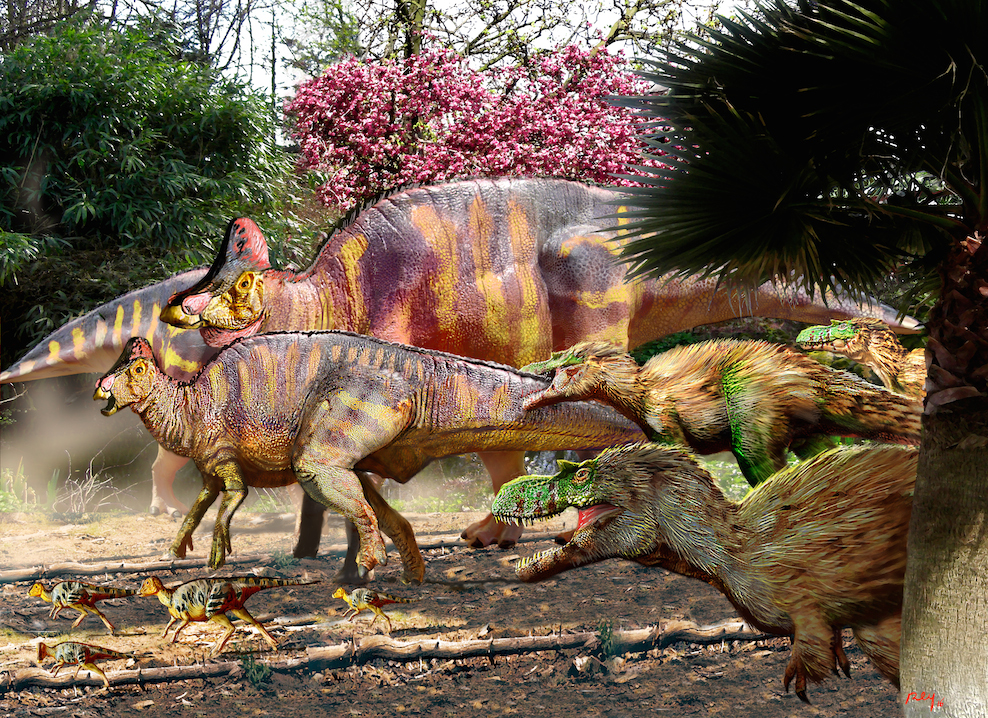 Cretaceous México: Magnapaulia. | Luis V. Rey Blog