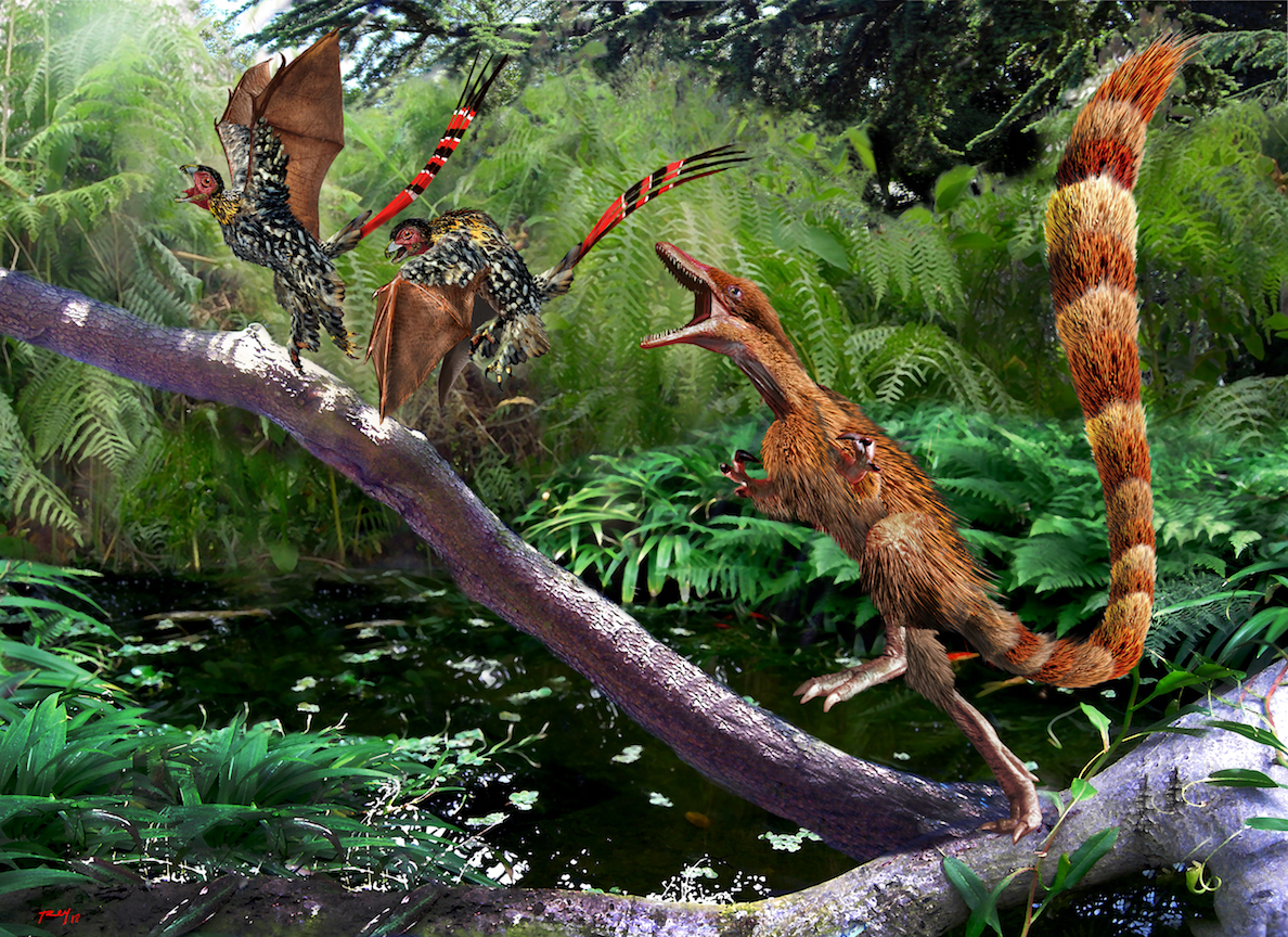 Sinosauropteryx