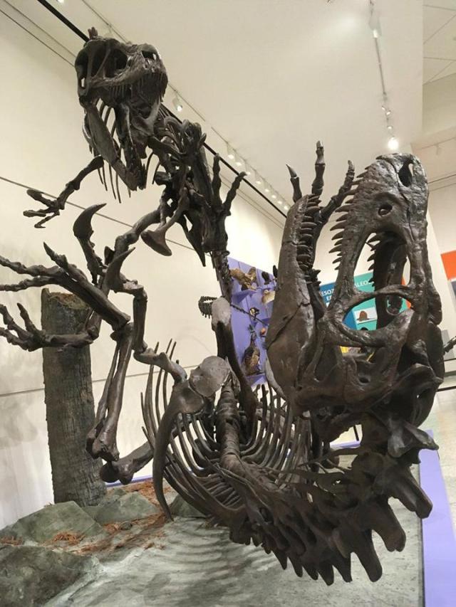 Dryptosaurus/Laelaps tribute to Charles R. Knight. | Luis V. Rey Blog