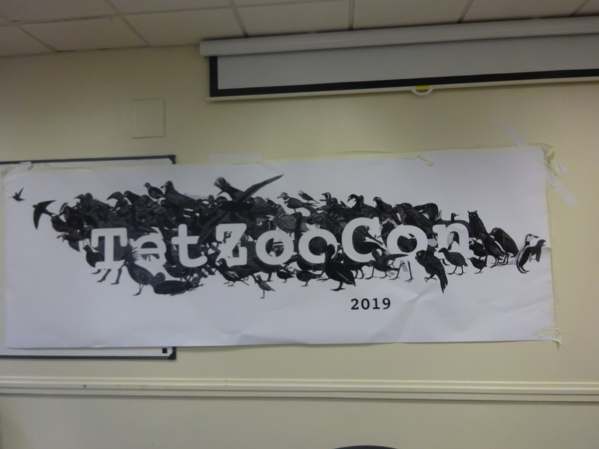 NEWS… a week of frantic activities: after the return to the Geology ...