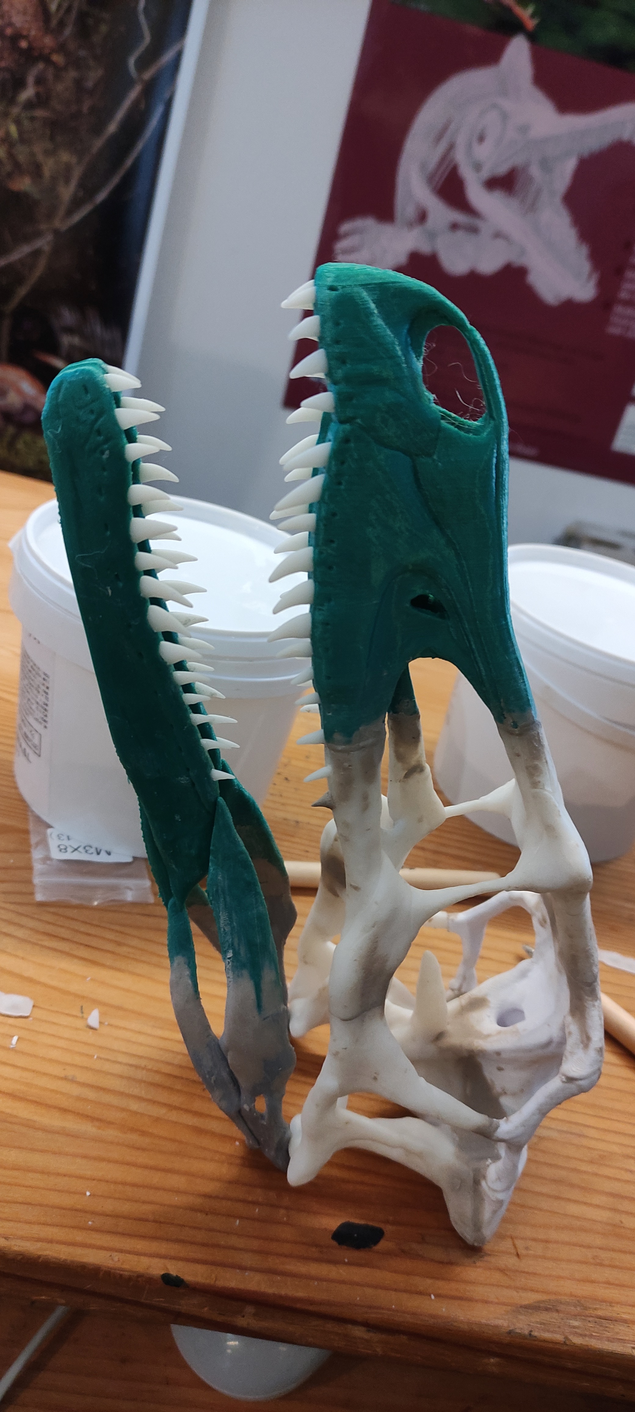 NEWS… a week of frantic activities: after the return to the Geology ...