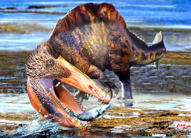 The spinosaurid saga continues. Now it’s a new look for enigmatic ...