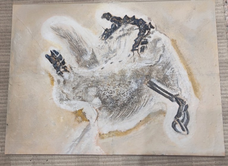 Luis V. Rey Blog | Paleoart and more by Luis V Rey