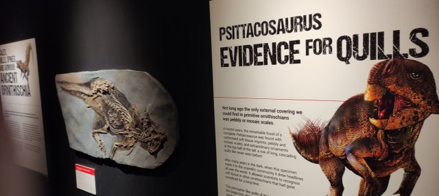 Luis V. Rey Blog | Paleoart and more by Luis V Rey